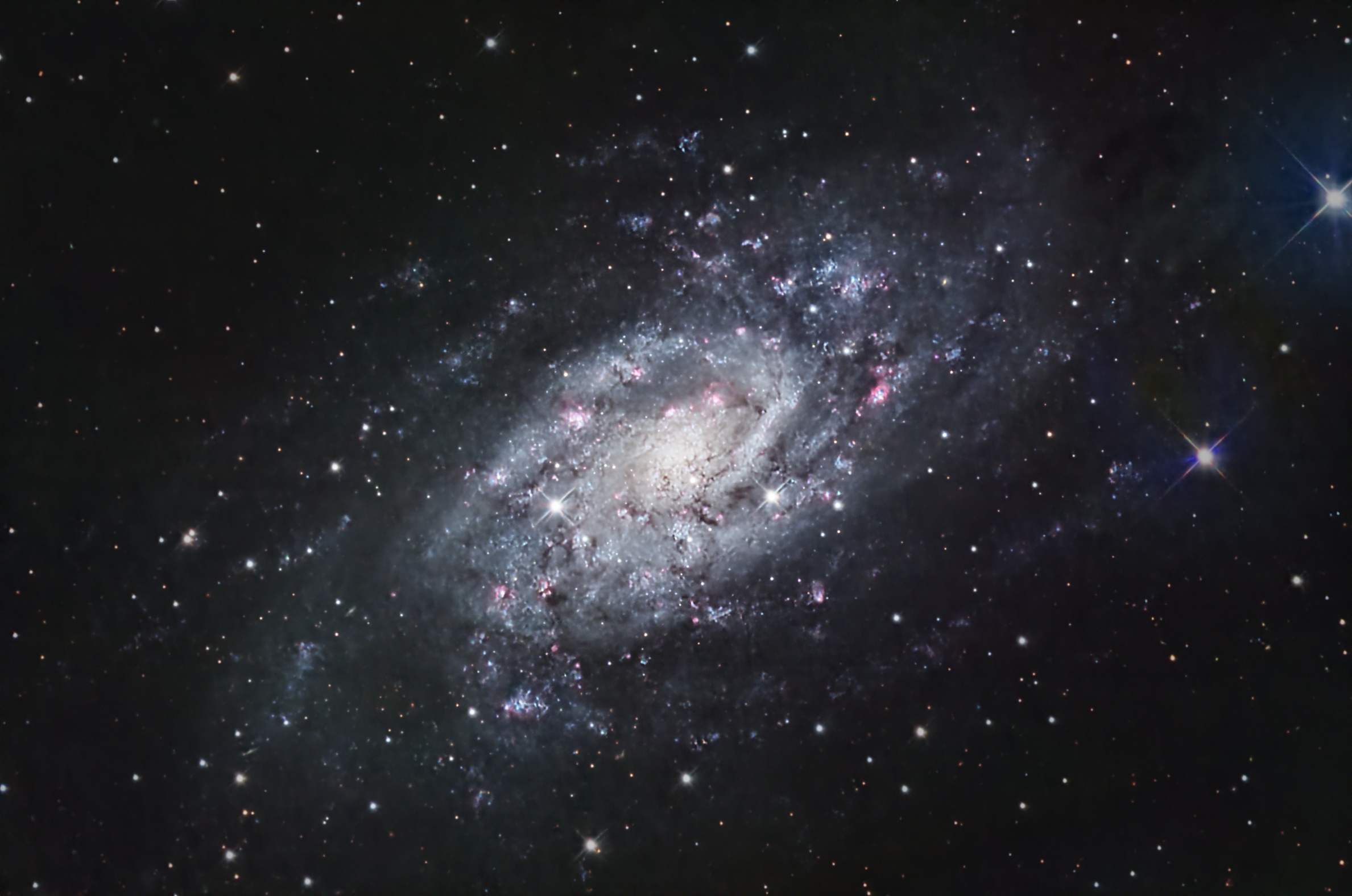 NGC 2403 | Telescope Live
